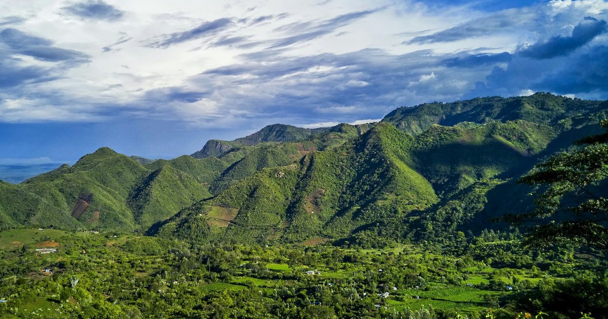PROPOSED CONSTRUCTION AND COMPLETION OF LABORATORY AND DISPENSARY BLOCK ...